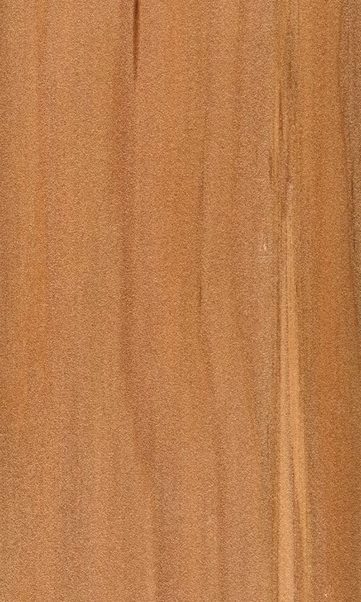 Discover the Remarkable Qualities of Damar Minyak Wood/Timber ...